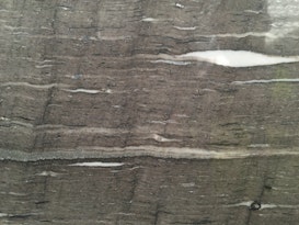 Sensa Nilo - Cosentino