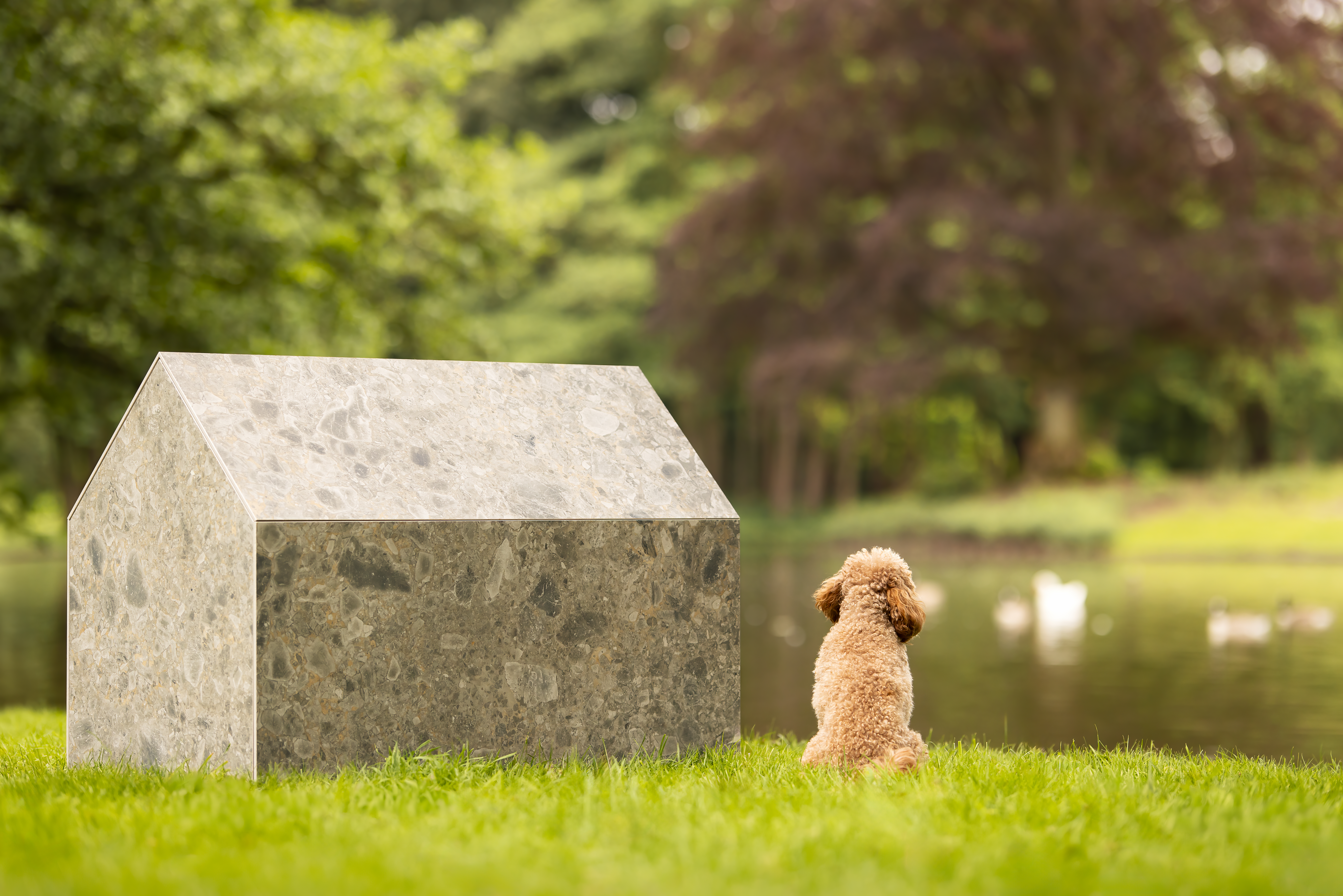 Dog house store