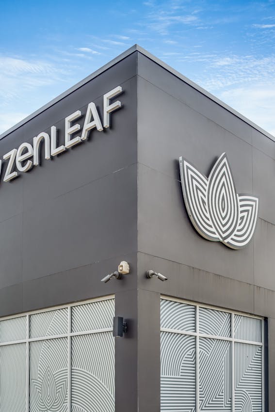 Zean Leaf