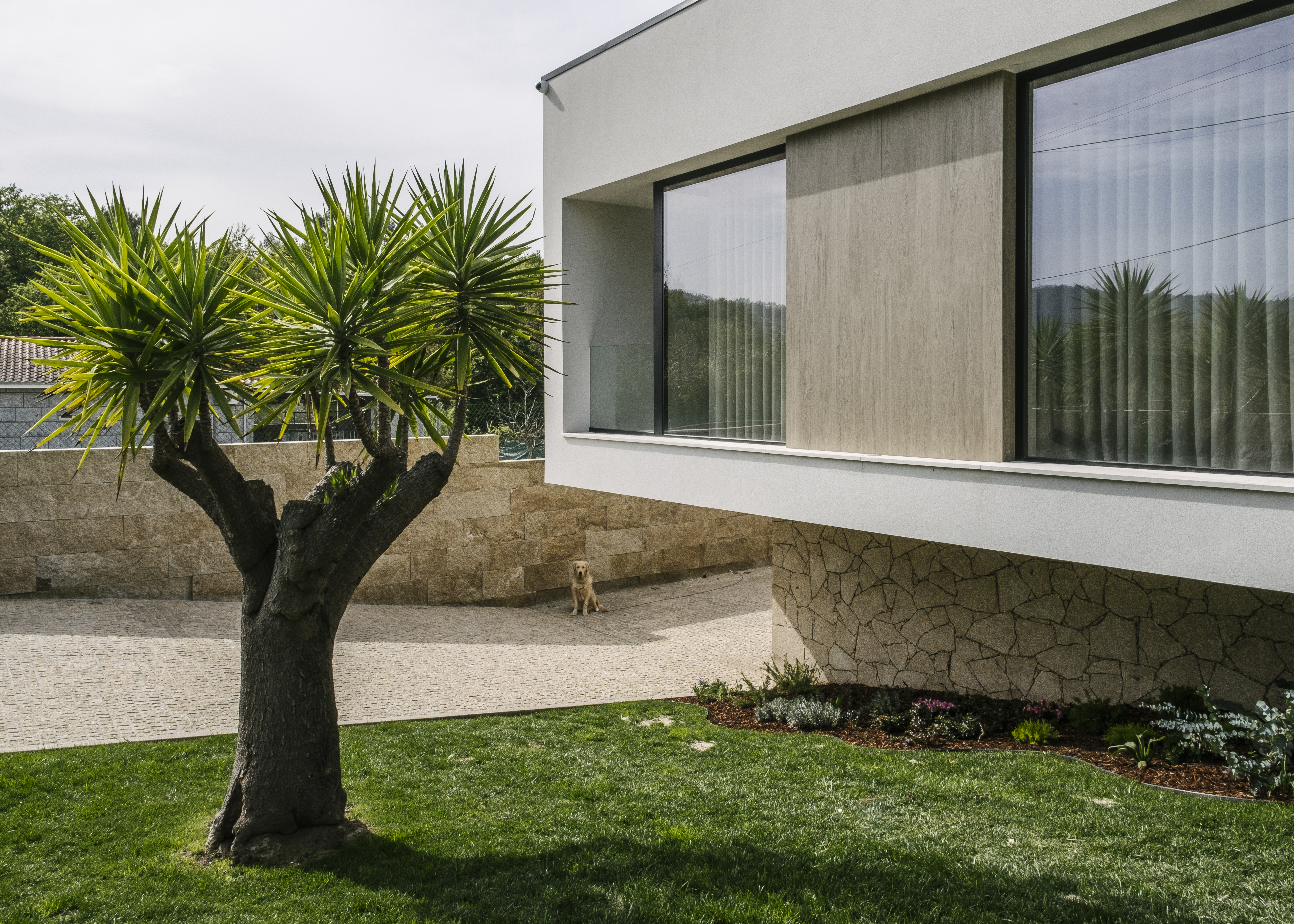 House Vizela