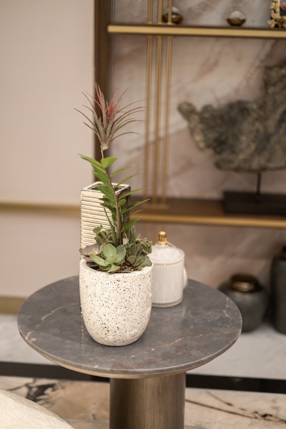 Eclipse by Lifetime Design